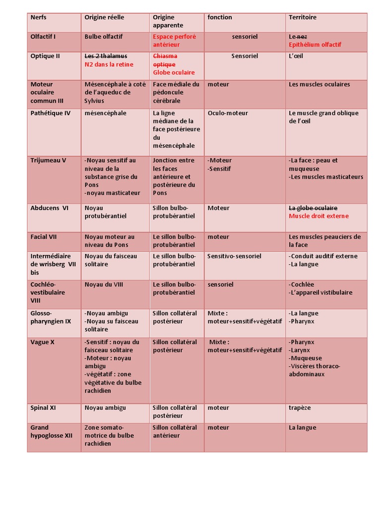 Tableau des nerfs crâniens | PDF | Tête et cou chez l'humain | Organe