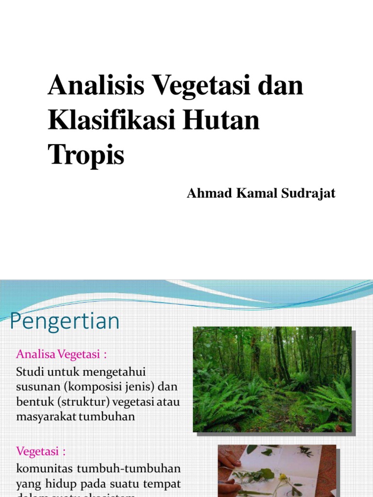 Analisis Vegetasi Hutan Tropis | PDF