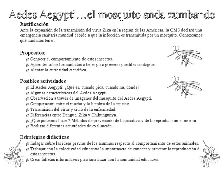 Aedes Aegypti | PDF