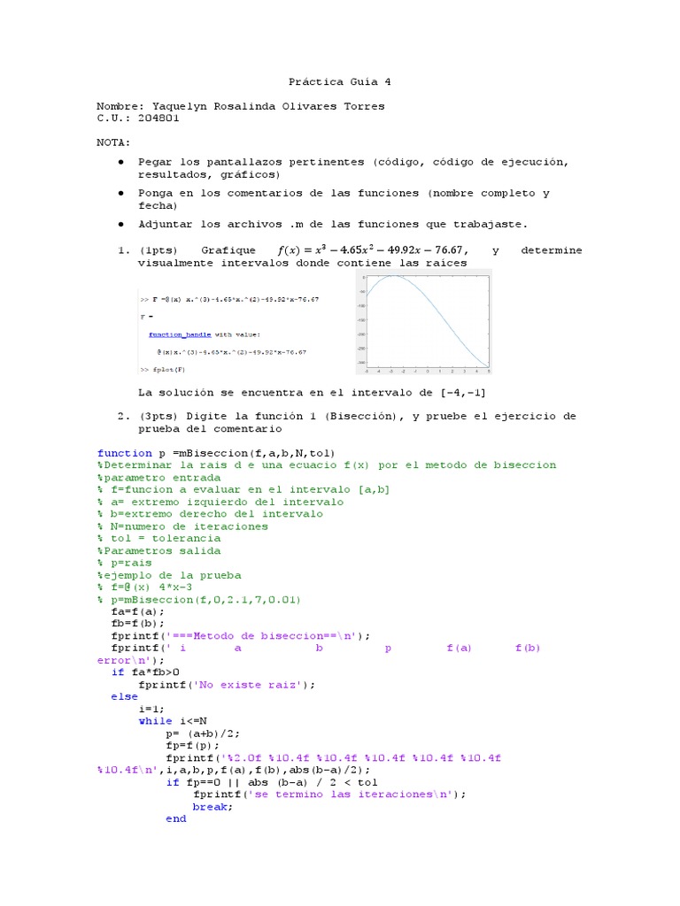 Práctica Guía 4_204801 | PDF | Programación de computadoras | Matemáticas Aplicadas