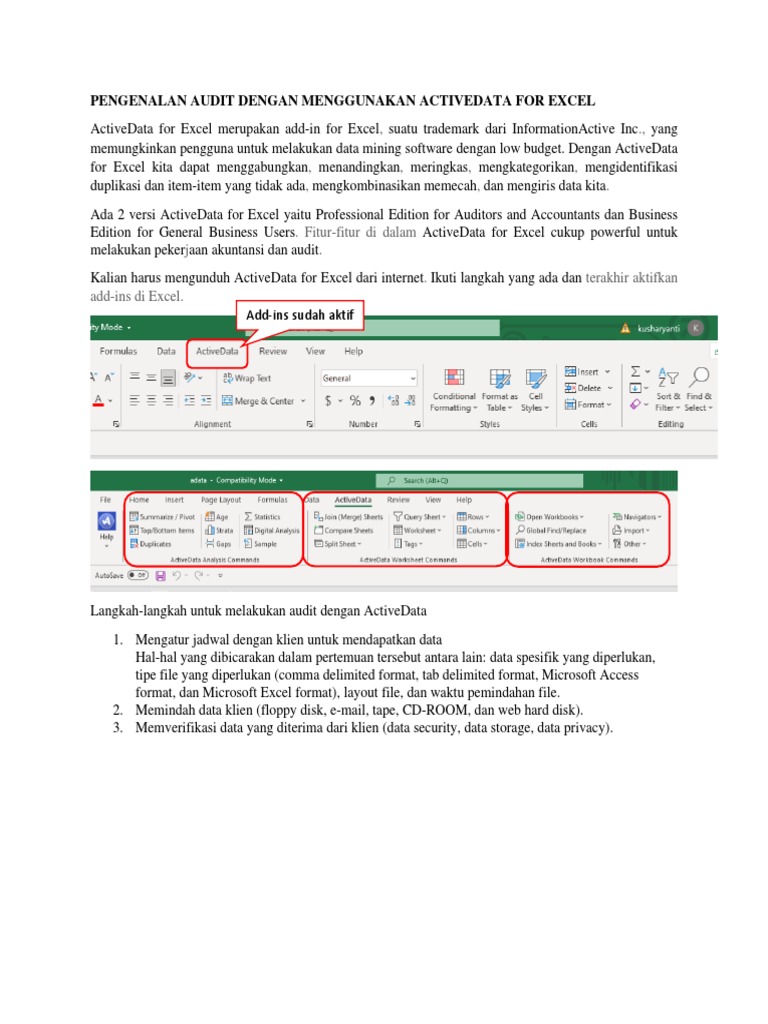 Audit Menggunakan ActiveData Excel | PDF | Komputer
