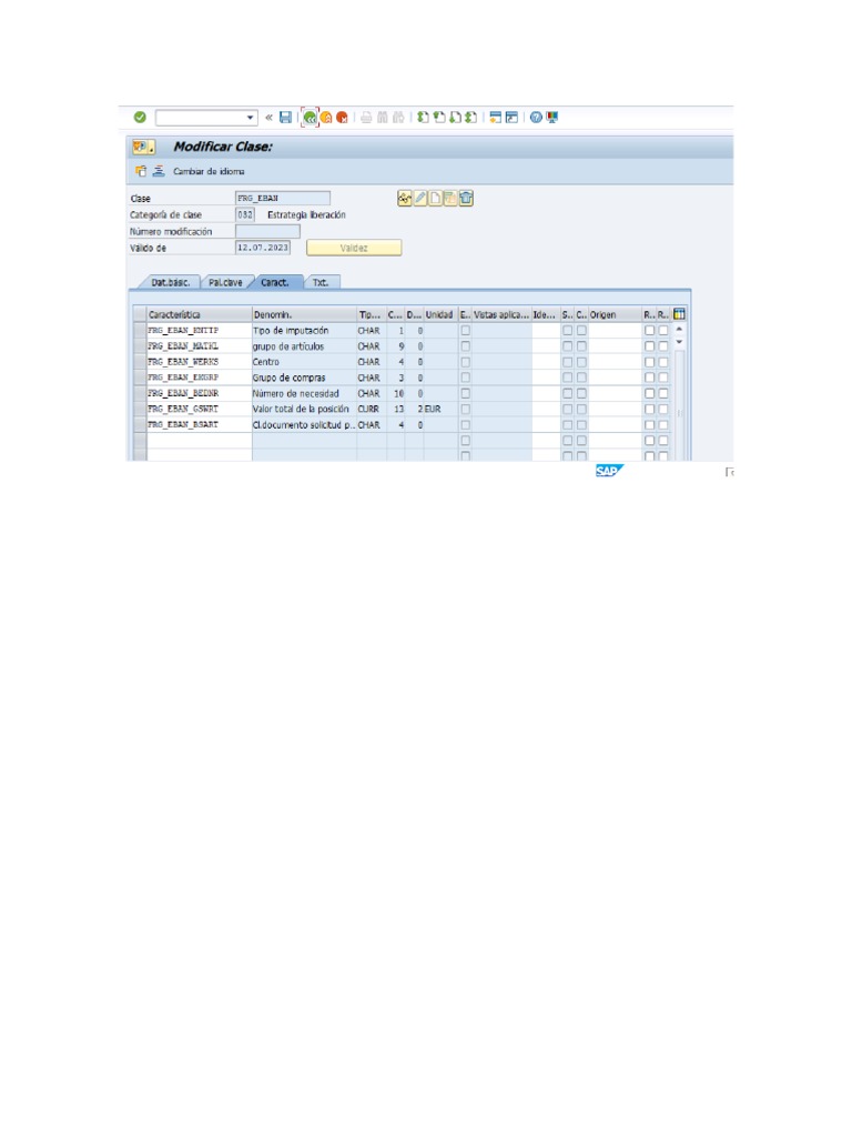 Caracteristicas CT04 de mandante sap | PDF