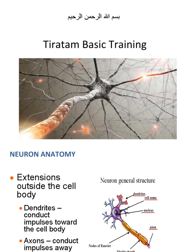 Tiratam Medical Training (Must To Know 2018 | PDF | Neuron | Axon