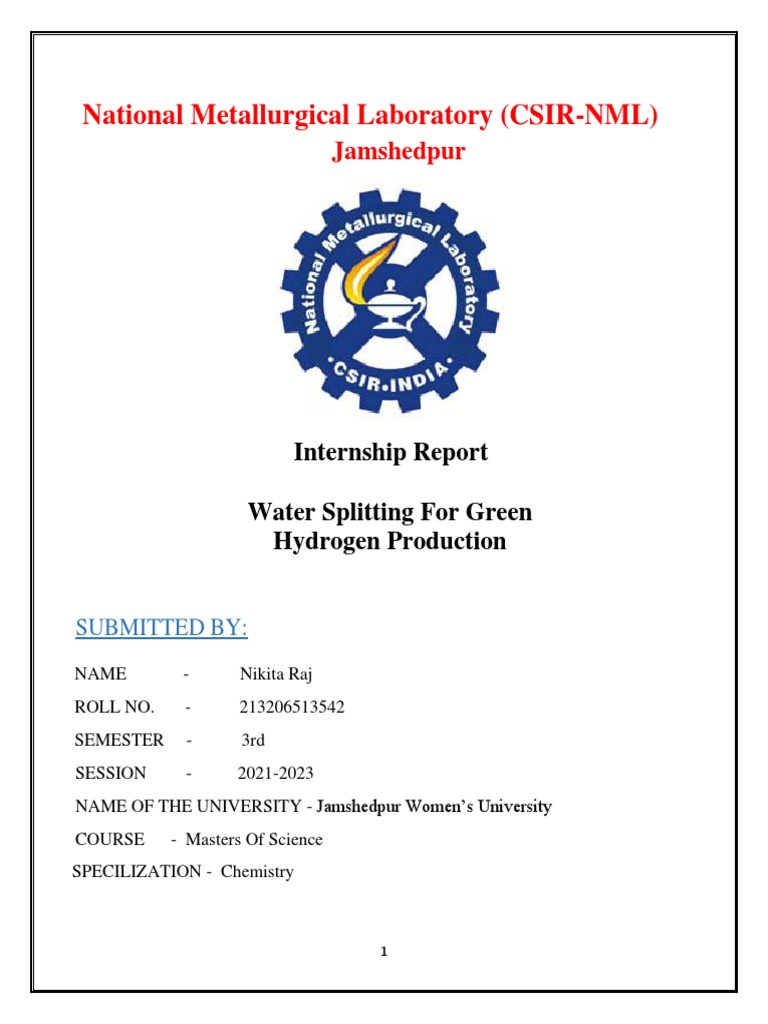 Internship Report NML Nikita Raj | PDF | Sustainable Energy | Hydrogen