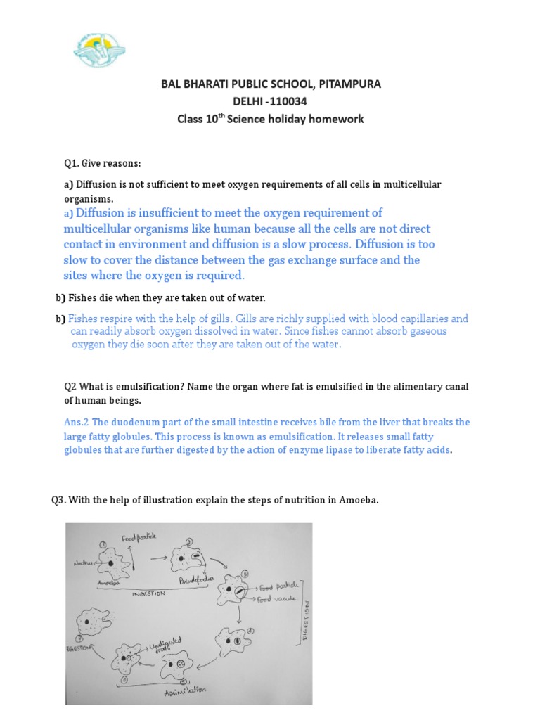 Revision Assignments - Class 10 - Week 3 | PDF | Exhalation | Breathing
