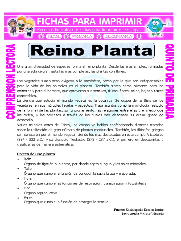 Ficha-Reino-Planta-para-Quinto Básico | PDF | Plantas | Raíz