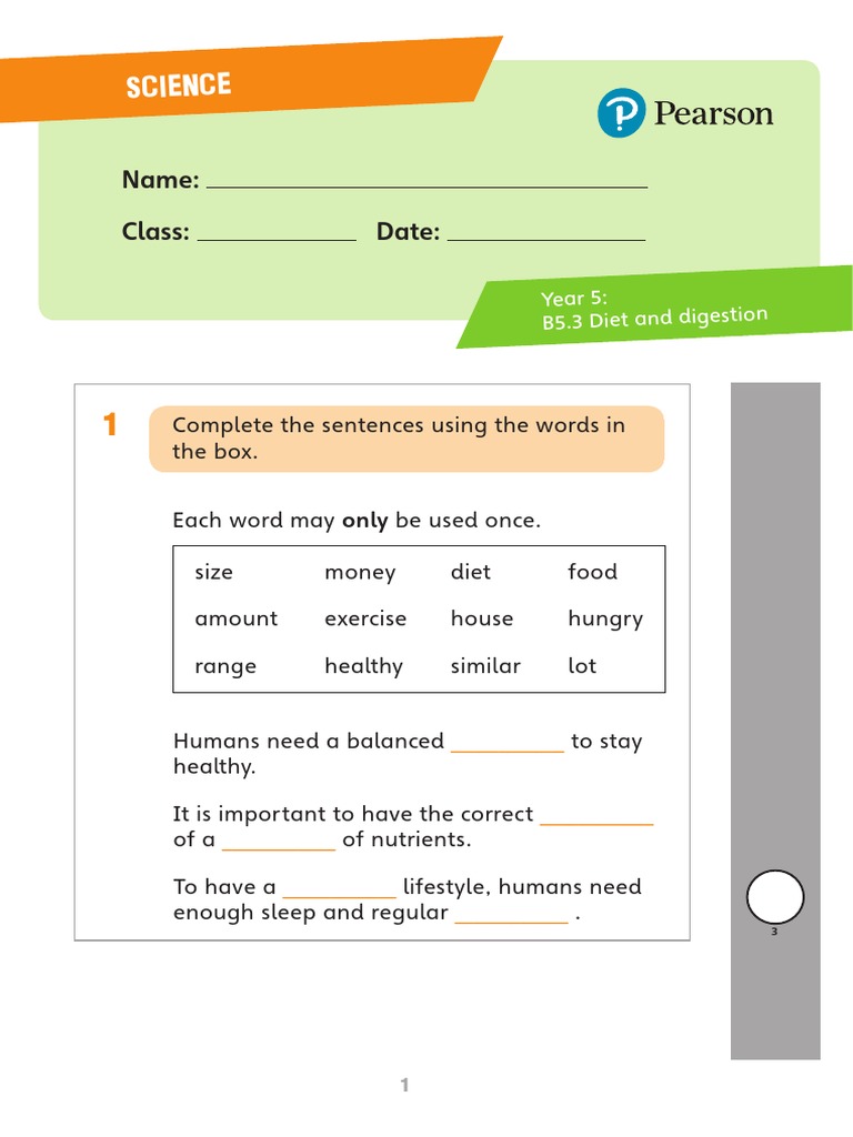 Ip PT Ip Science Y5 DD | PDF | Digestion | Small Intestine