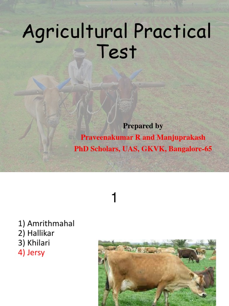 Agricultural Practical Test: Praveenakumar R and Manjuprakash PHD ...