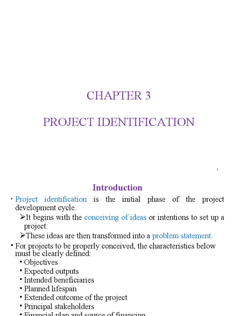 Chapter 3 Proj | PDF | Top Down And Bottom Up Design | Data
