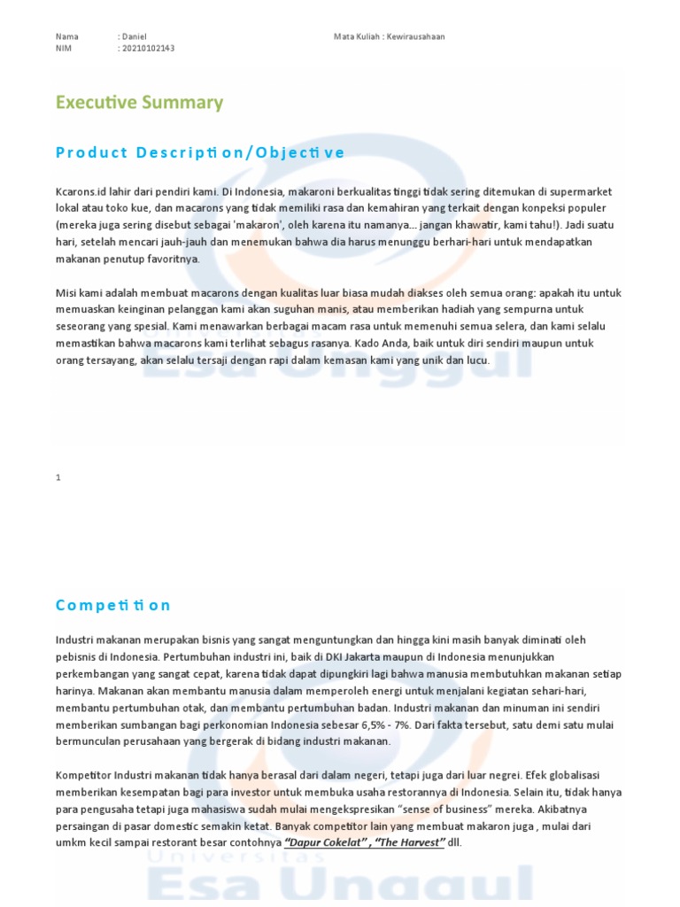 Executive Summary Daniel Pdf