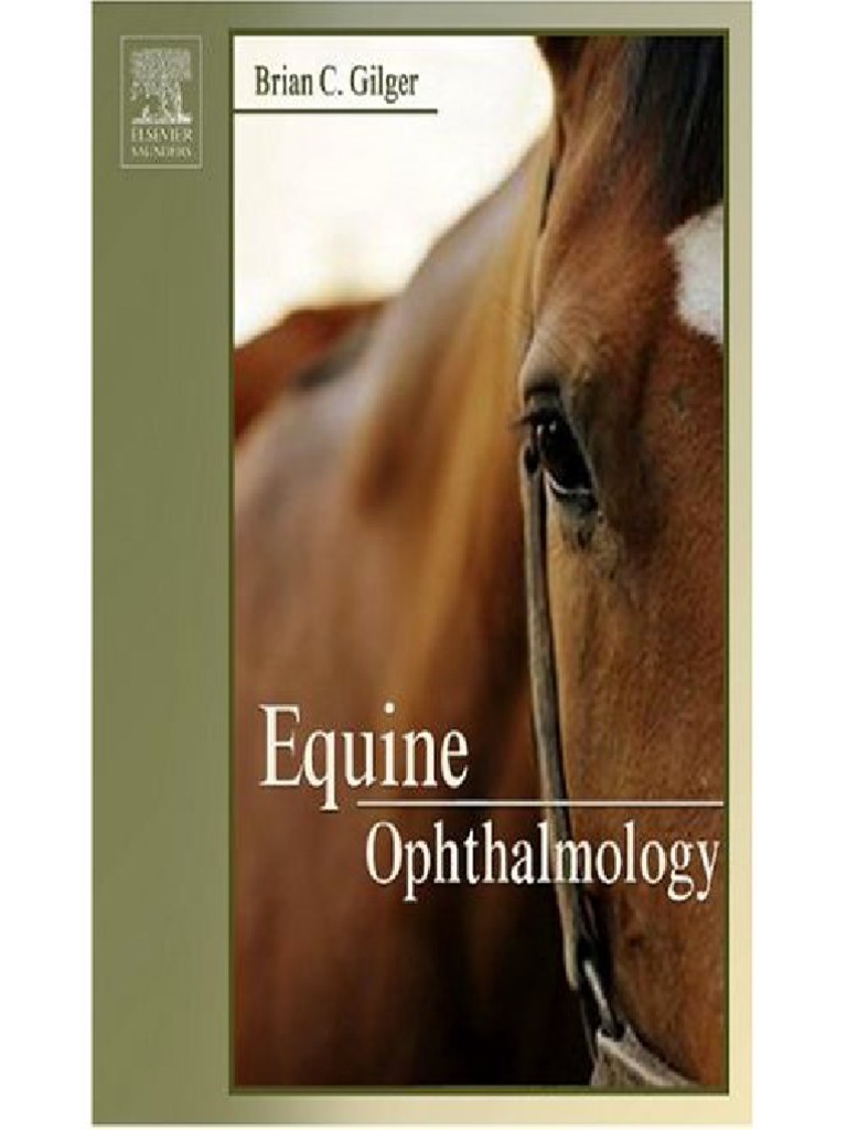 Equine Ophthalmology | PDF | Ophthalmology | Human Eye
