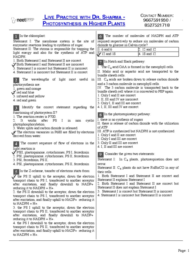 Unit 4 | PDF | Photosynthesis | Cell Biology