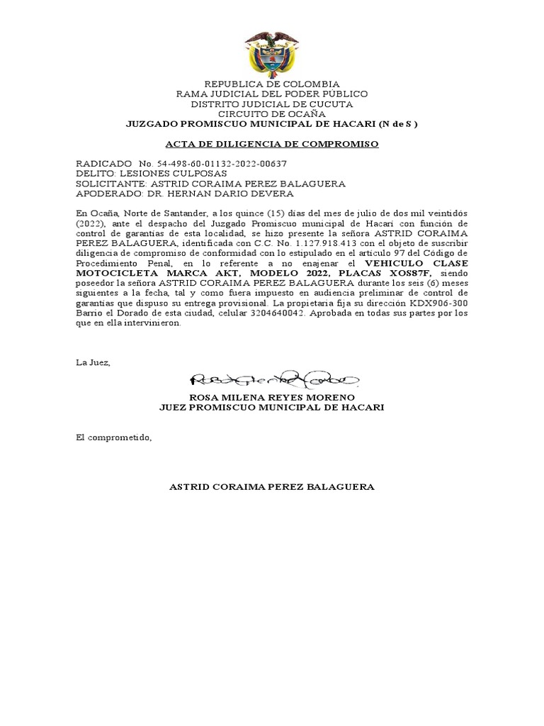 Formato Acta de Compromiso | PDF