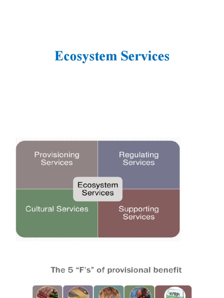 Ecosystem Services | PDF