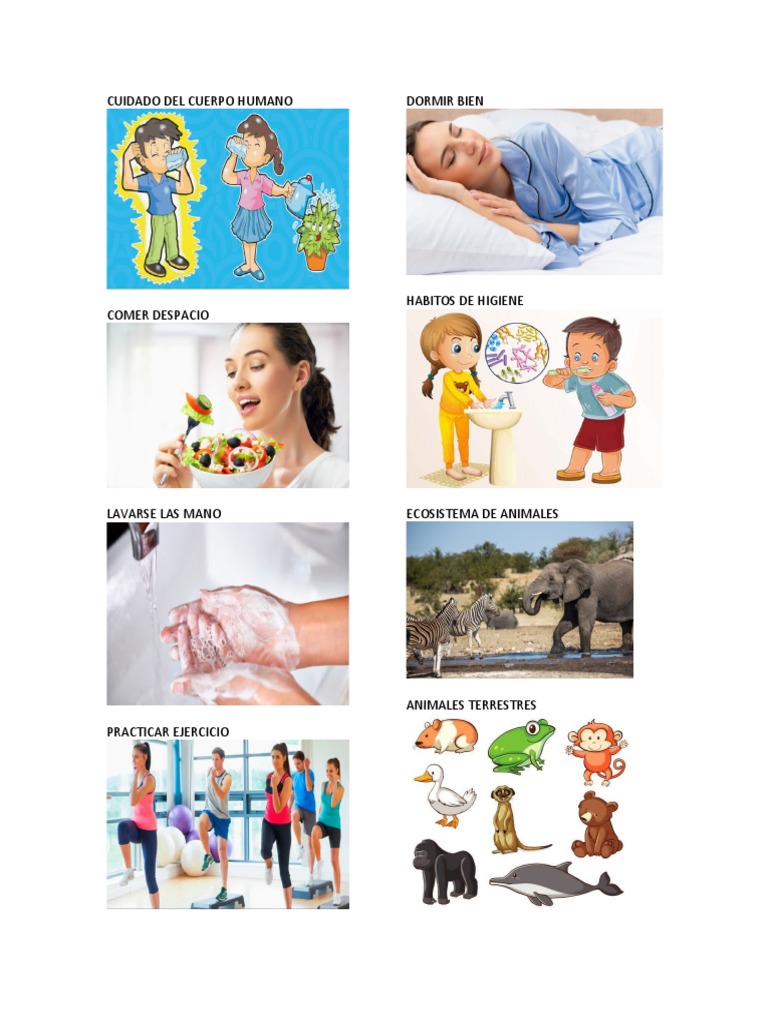 Cuidado Del Cuerpo Humano | PDF