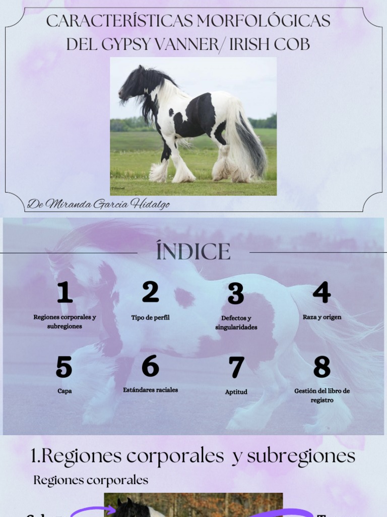 Características Morfológicas | PDF | Animales domesticados | Équidos