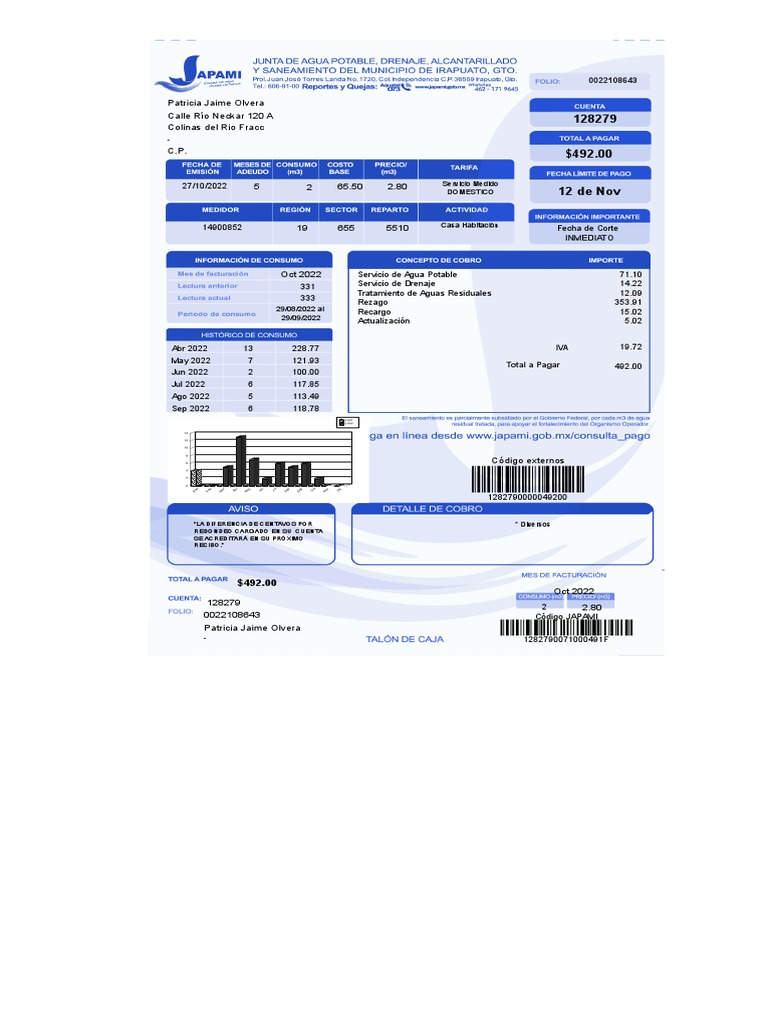 Recibo Electronico JAPAMI | PDF | Suministro de agua