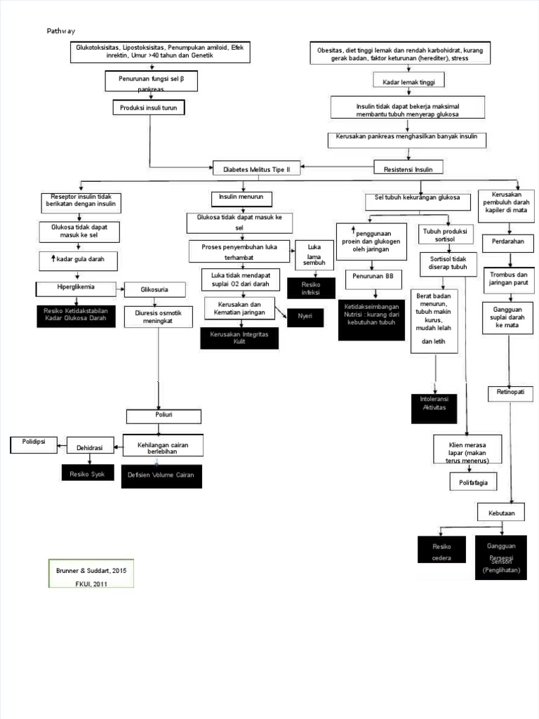 Pathway DM Tipe II | PDF