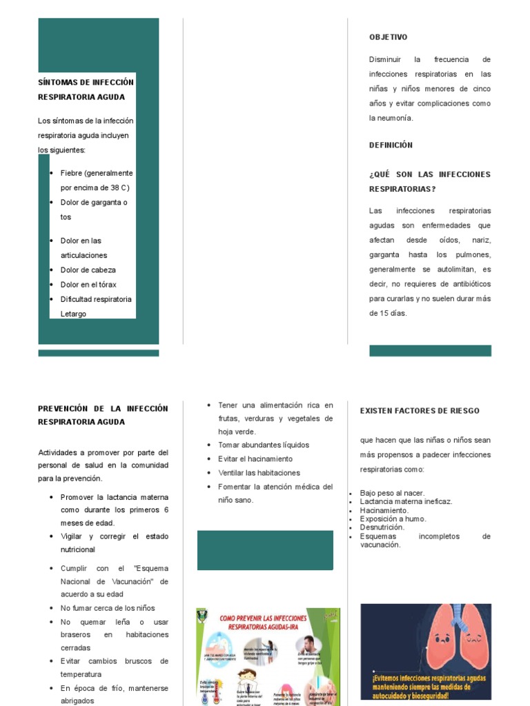 TRIPTICO | PDF | Neumonía | Inmunología