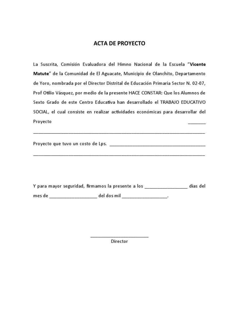Acta de Proyecto | PDF | Negocios | Ciencias sociales