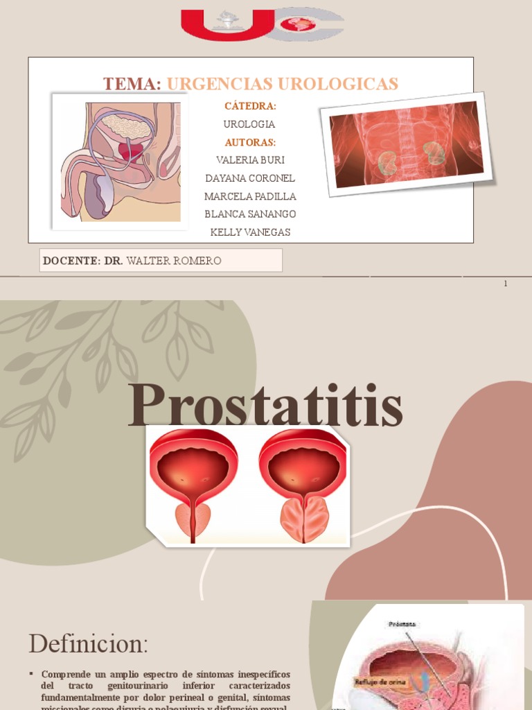 Prostatitis Presentar | PDF | Especialidades Medicas | Medicina CLINICA