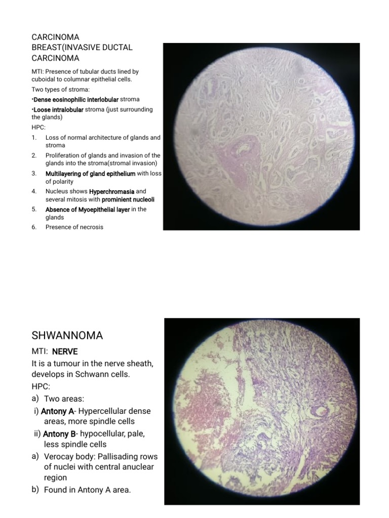 Pathology Practical HISTOPATHOLOGY | PDF | Epithelium | Skin