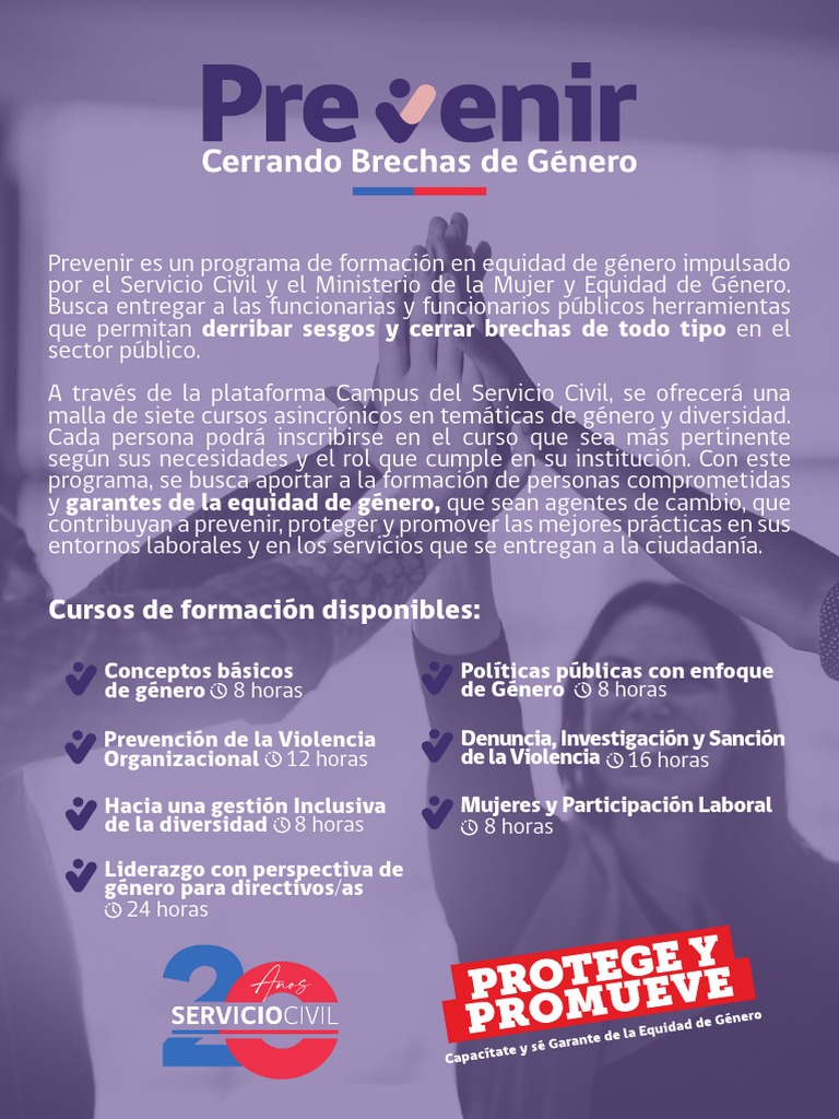 Flayer Prevenir | PDF