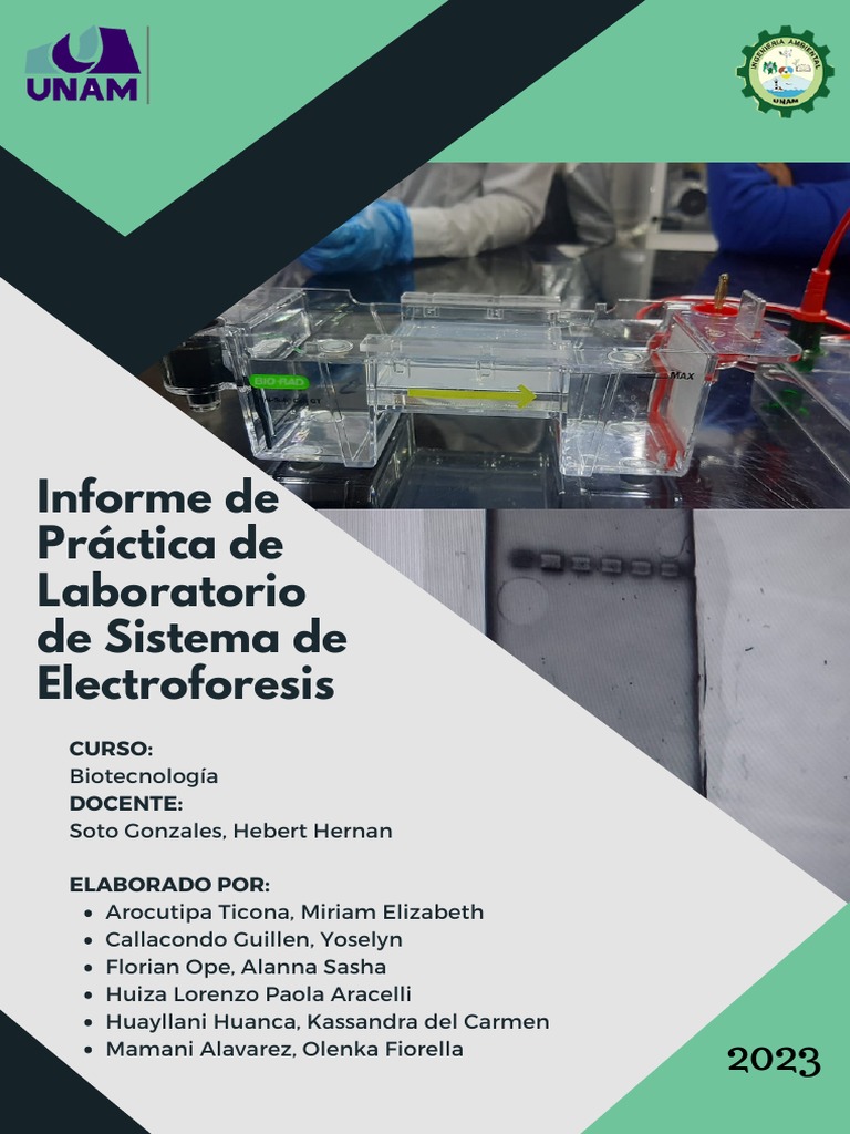 Informe de Práctica de Laboratorio de Sistema de Electroforesis | PDF | Adn | Electroforesis