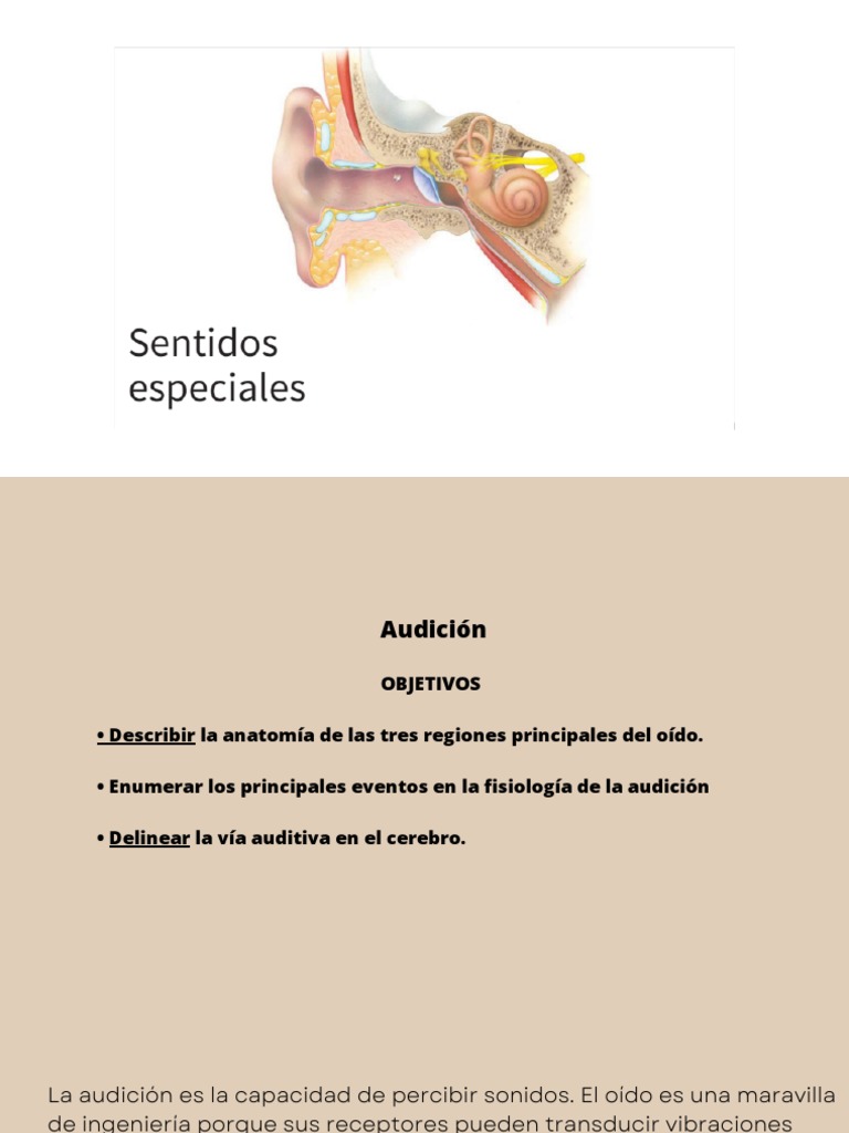 Audición OBJETIVOS - Describir La Anatomía de Las - 230505 - 110509 ...