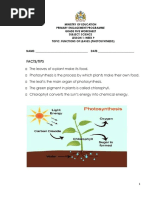 Grade 1 Living and Nonliving Things Science Printable Worksheet 2 | PDF