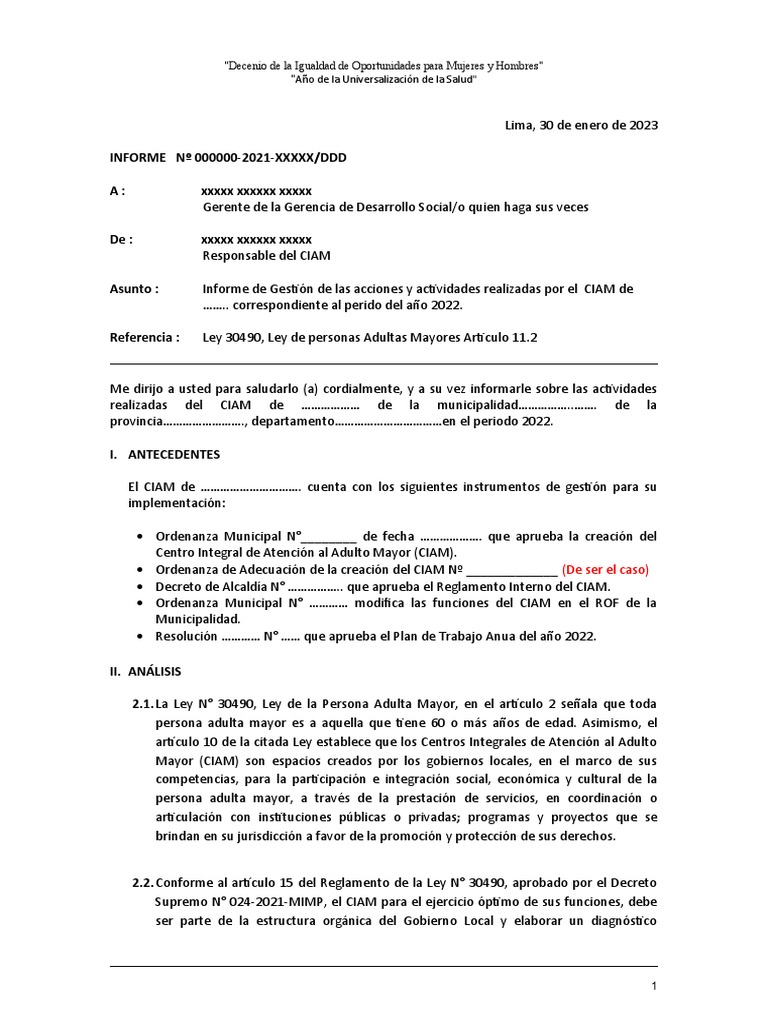 Plantilla de Informe Anual 2022 | PDF