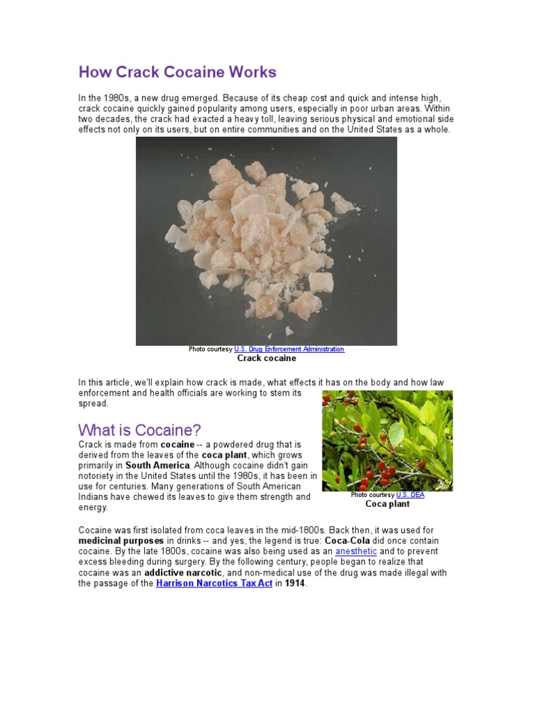 How Crack Cocaine Works | PDF | Crack Cocaine | Cocaine