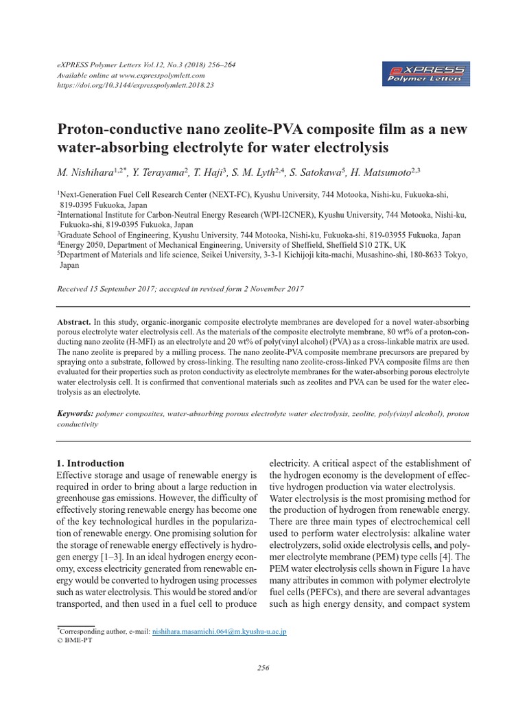 Proton Conductive Nanozeolite & PVA Composite Film (As A New Water-Absorbing Electrolyte For ...