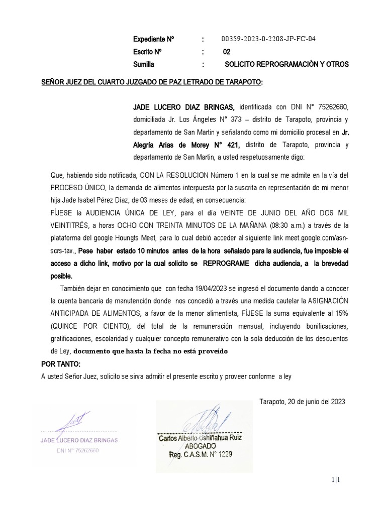 Solicito Reprogramacion | PDF