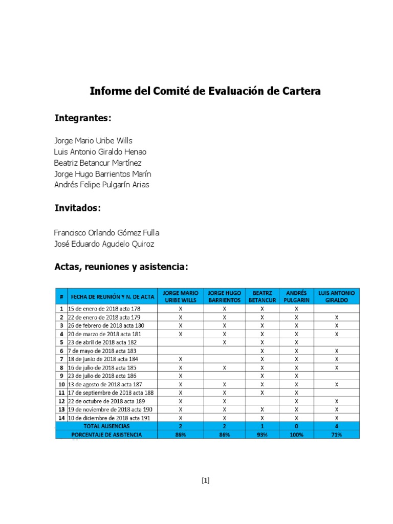 Informe Comit de Cartera 2018 | PDF