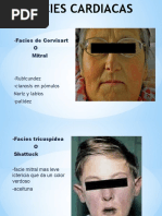 Facies Algicas | PDF | Anatomía humana | Especialidades Medicas