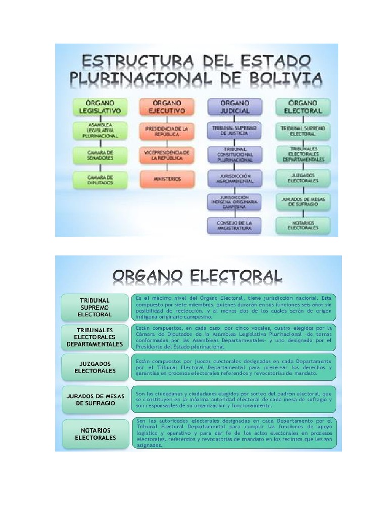 Estructura Estado Plurinacional de Bolivia | PDF