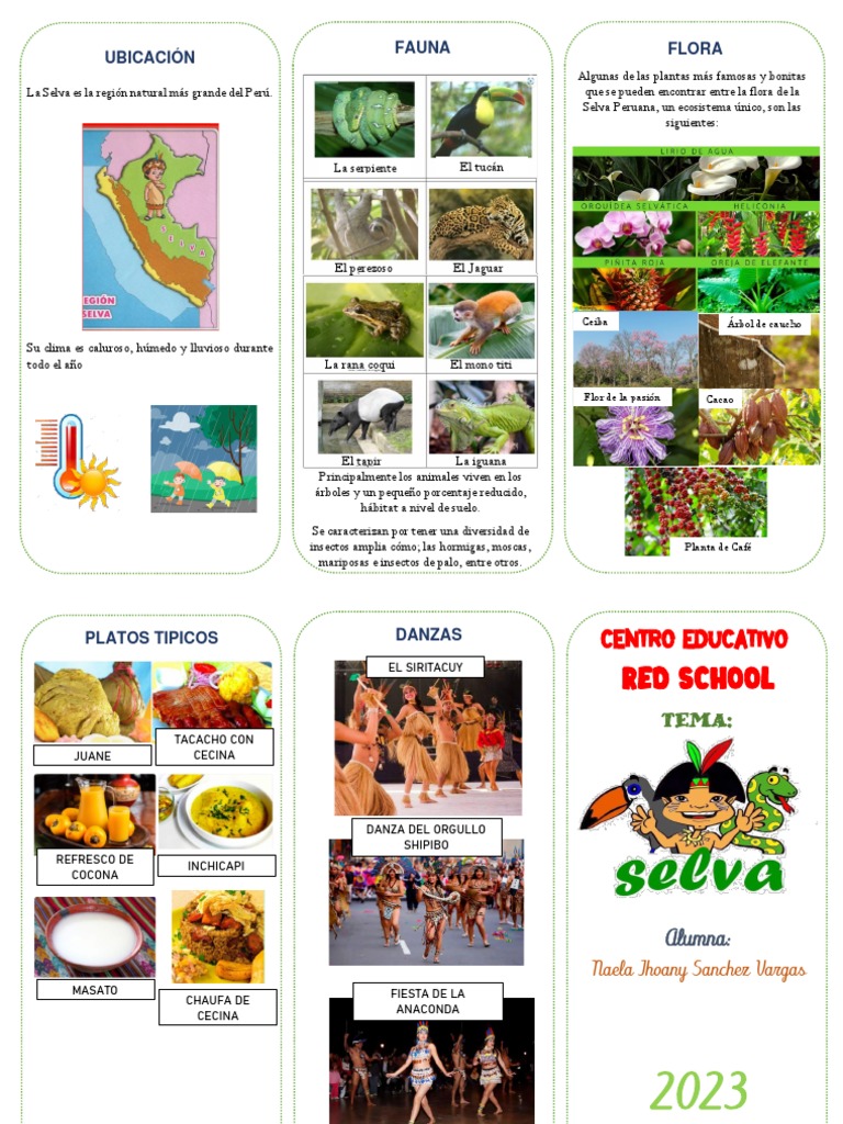Triptico La Selva | PDF | Biogeografia | Ciencias de la Tierra