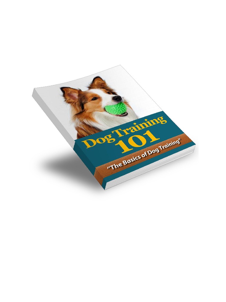 Dog Training 101 | PDF | Dogs | Domesticated Animals
