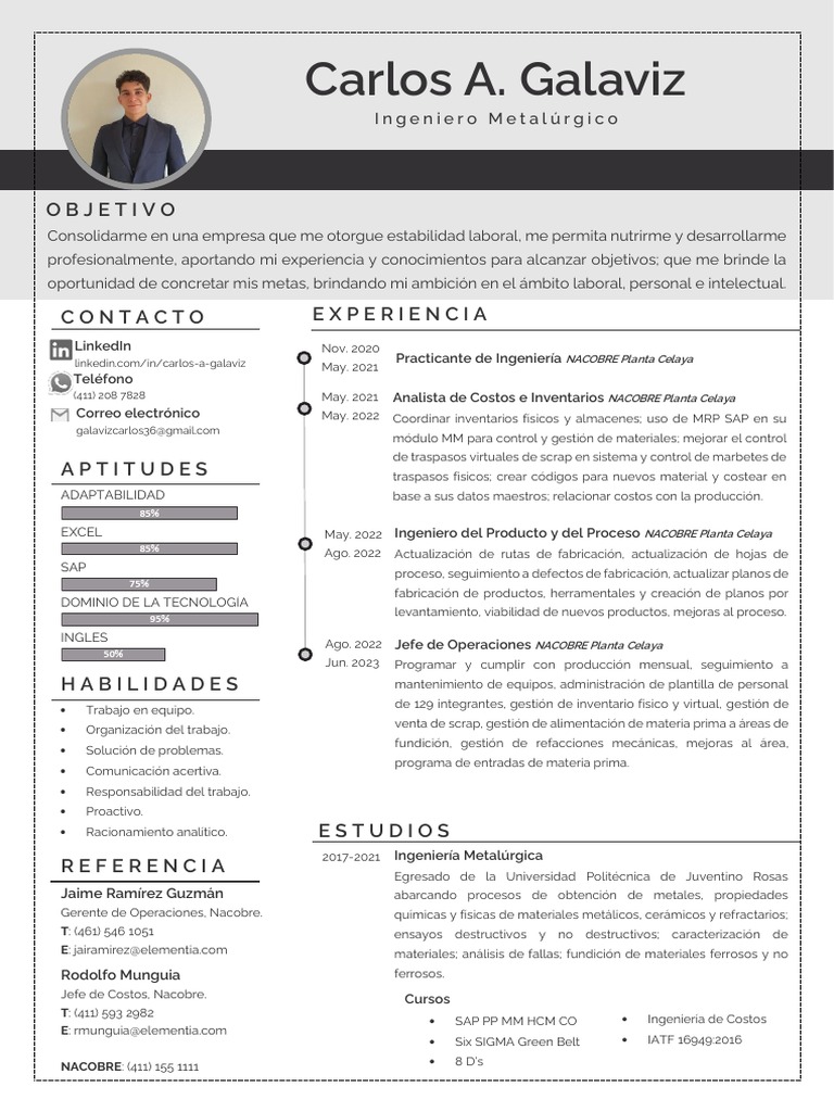 CV - Carlos a. Galaviz | PDF | Metalurgia | Ingeniería