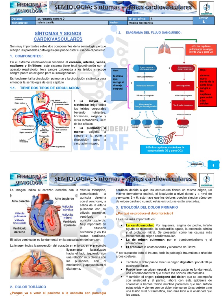 S-r1-t4-Síntomas y Signos Cardio V | PDF | Sistema circulatorio ...