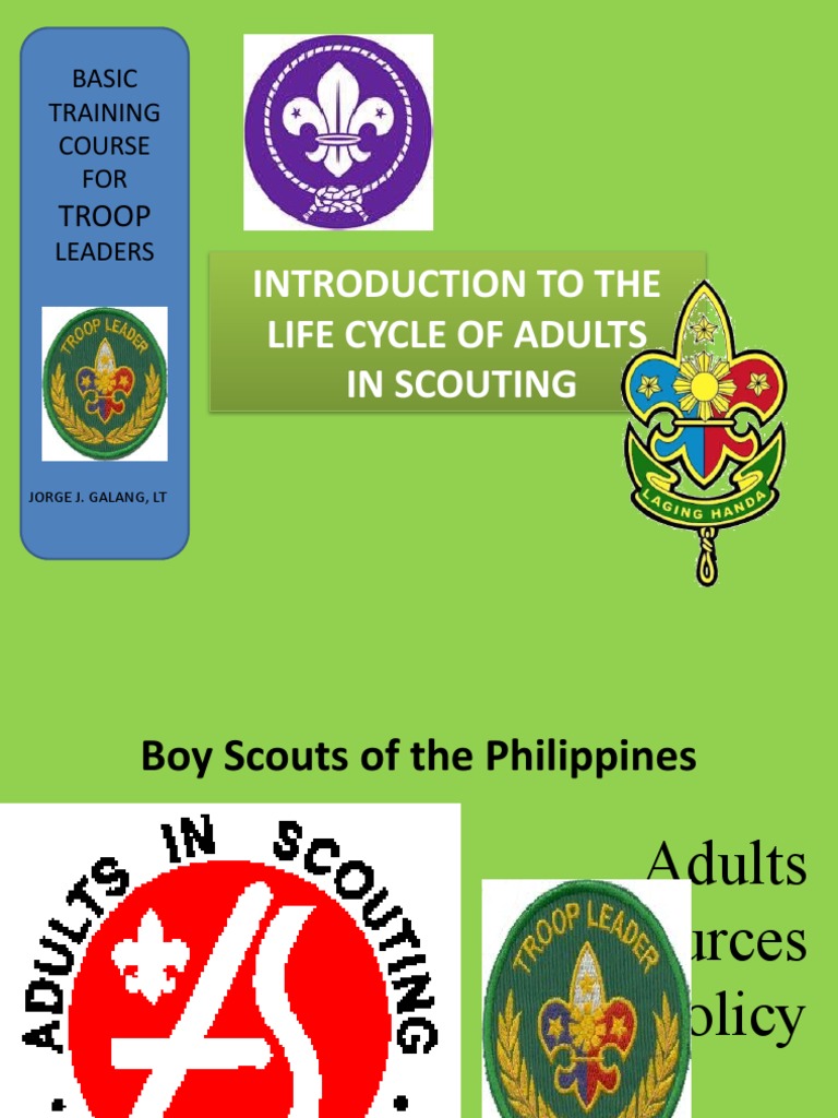 BTC TL Introduction To AIS | PDF | Life Cycle Assessment | Cognitive ...