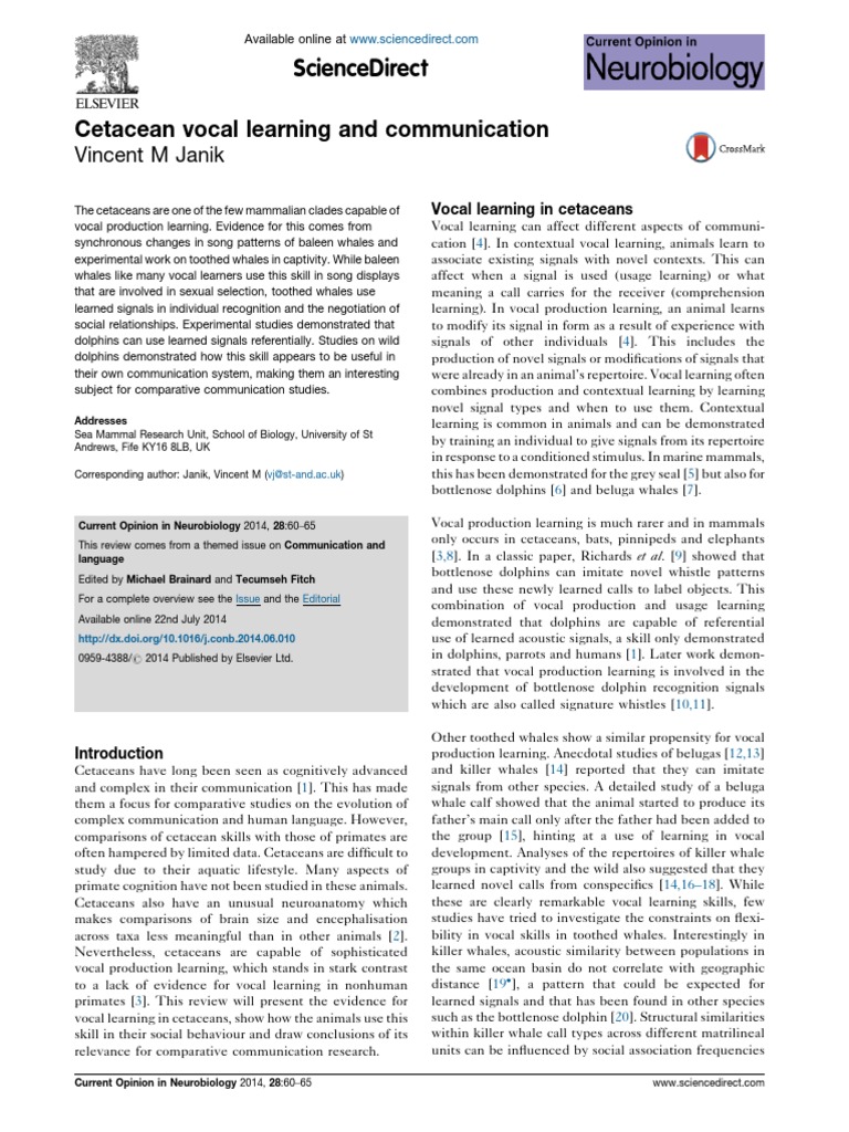 Cetacean Vocal Learning Insights | PDF | Cetacea | Dolphin