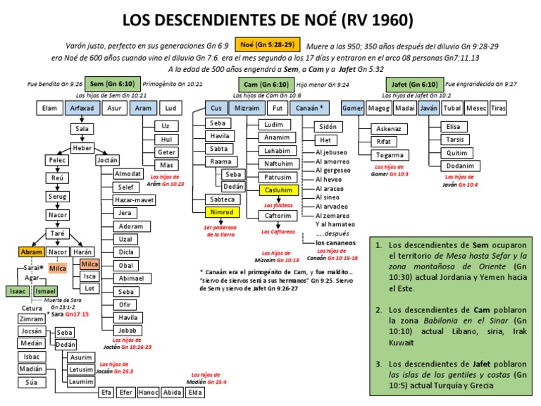 Genealogía De Noé Hasta Abraham Pdf Jamón Hijo De Noé Libros De