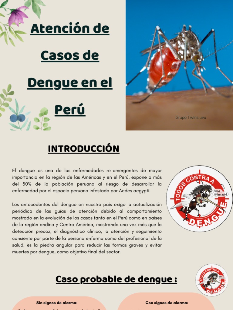 DENGUE | PDF | Ciencias de la Salud | Epidemiología DENGUE | PDF | Ciencias de la Salud | Epidemiología