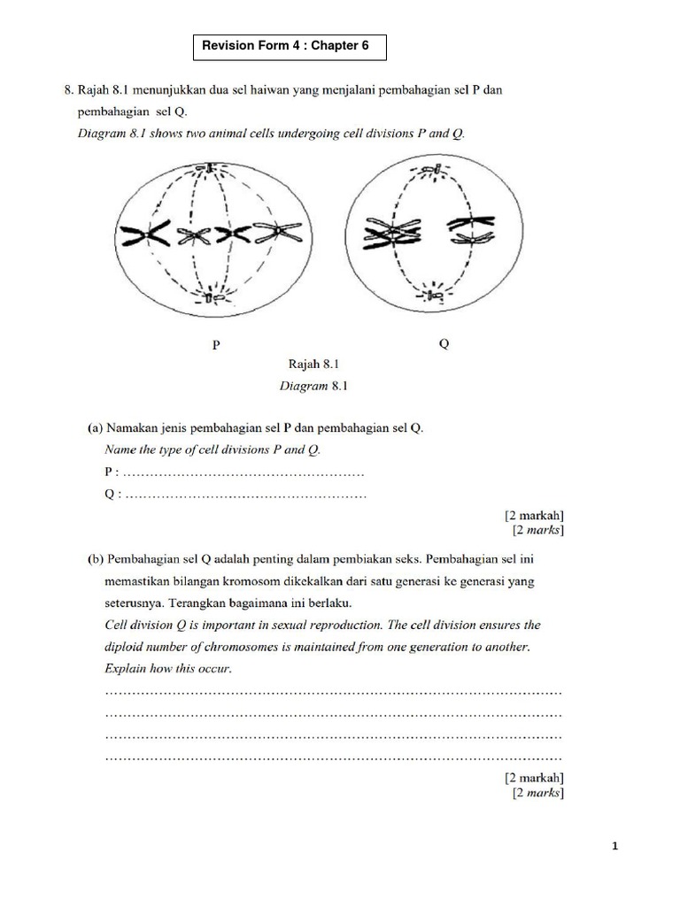 Chapter 6 Revision | PDF