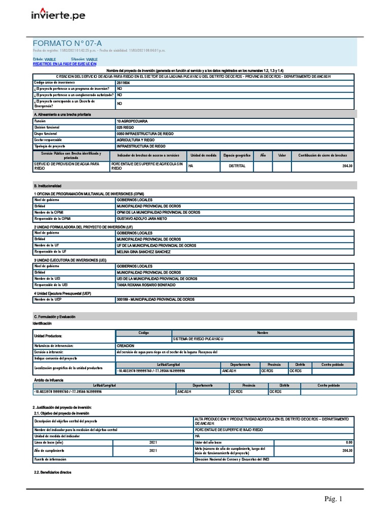Formato #07a | PDF | Tasa interna de retorno | Riego