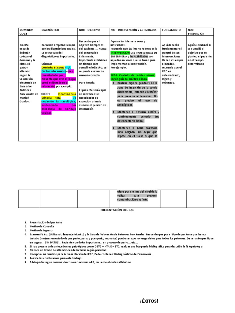 Guia para Realizar PAE | PDF | Enfermedades y trastornos | Medicina CLINICA