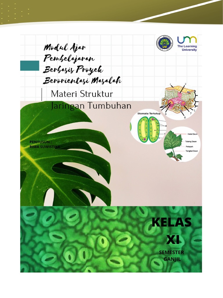 2. MODUL AJAR MATERI STRUKTUR JARINGAN TUMBUHAN | PDF