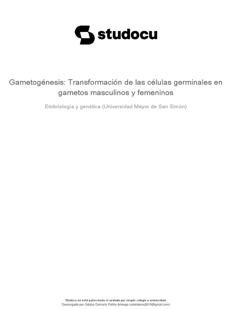 Gametogenesis Transformacion de Las Celulas Germinales en Gametos Masculinos y Femeninos | PDF ...